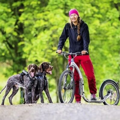 Kickbike Cross MAX 20HD - Qimmiq.dk