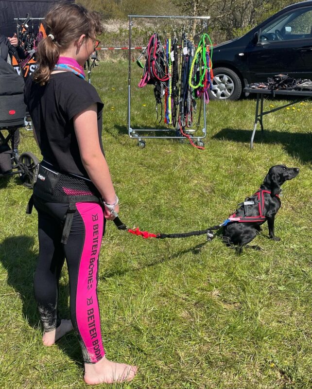 Sledwork Xback Active Mini - Qimmiq.dk