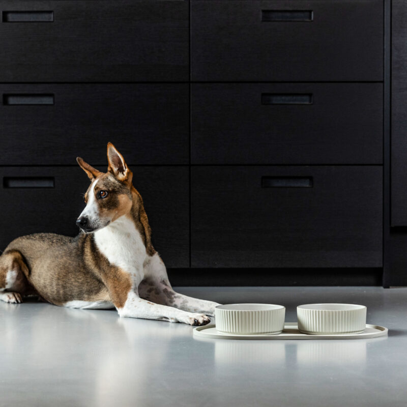 Kronborg hundeskål - Qimmiq.dk