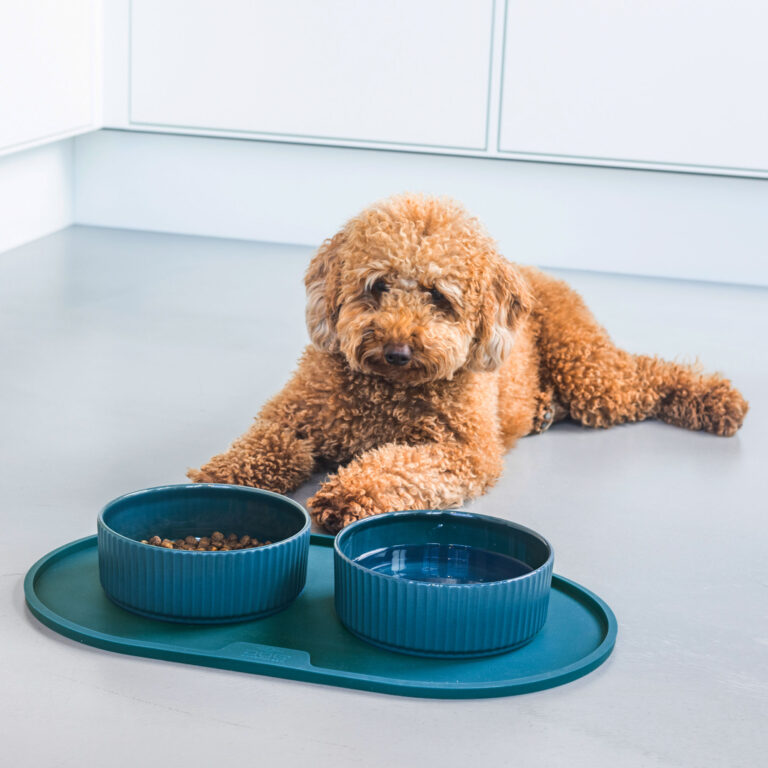 Kronborg hundeskål - Qimmiq.dk
